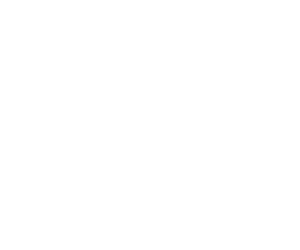 Dans mon corps – Description du site